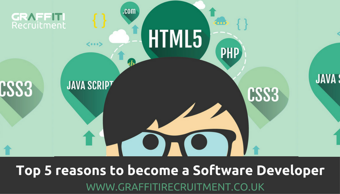 Top 5 reasons to become a Software Developer | Digi Skills Agency